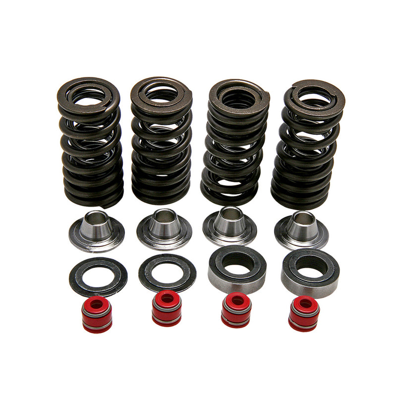 Racing Spring Kit, Titanium, 0.385" Lift, Various Honda® Applications ...