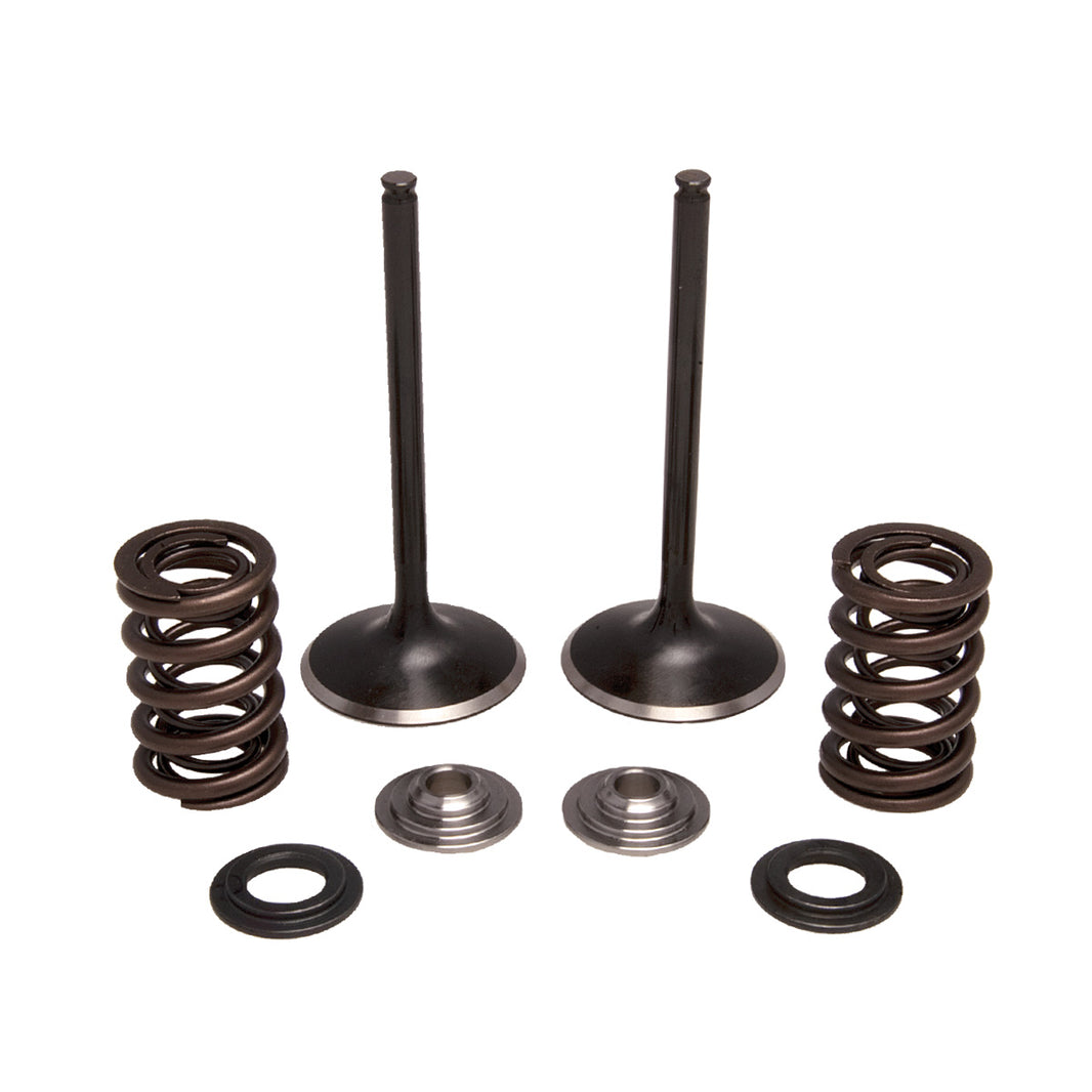 Intake Only Spring Kits – KPMI